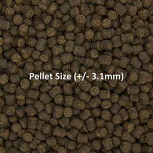 Ocean Nutrition Cichlid Vegi Pellets 7-Ounces (200 Grams) Jar - Medium Pellet Size