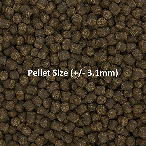 Ocean Nutrition Cichlid Vegi Pellets 7-Ounces (200 Grams) Jar - Medium Pellet Size