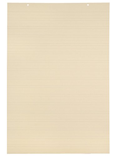 School Smart Jumbo Manila Tag Ruled Chart Paper, 36 x 24 Inches, Pack of 100 - 006435