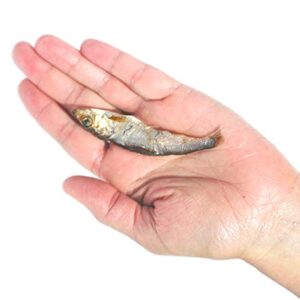 Plato Baltic Sprat 3oz