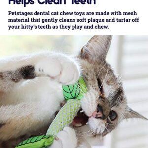 Petstages Fresh Breath Mint Stick Dental Cat Chew Toy