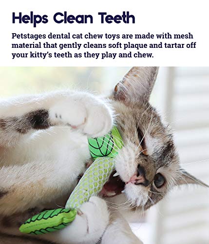 Petstages Fresh Breath Mint Stick Dental Cat Chew Toy