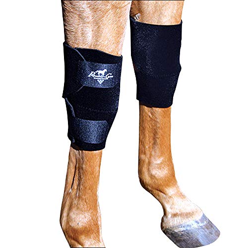 Professionals Choice Equine Knee Boot, Pair (Universal Size, Black)