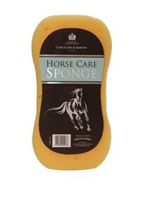 carr & day & martin horse care sponge