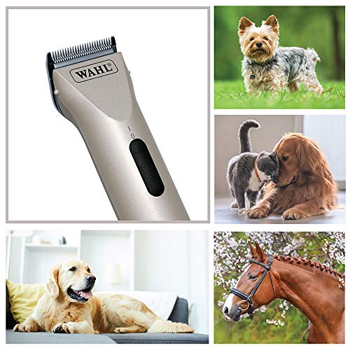 WAHL Professional Animal Arco Pet, Dog, Cat, and Horse Cordless Clipper Kit, Champagne (8786-452)