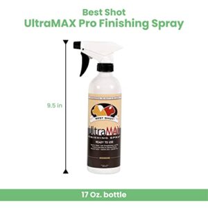 Best Shot UltraMAX Pro Finishing Spray, 17 oz