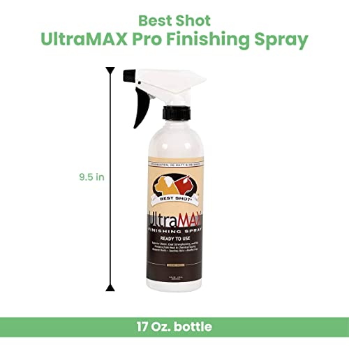 Best Shot UltraMAX Pro Finishing Spray, 17 oz