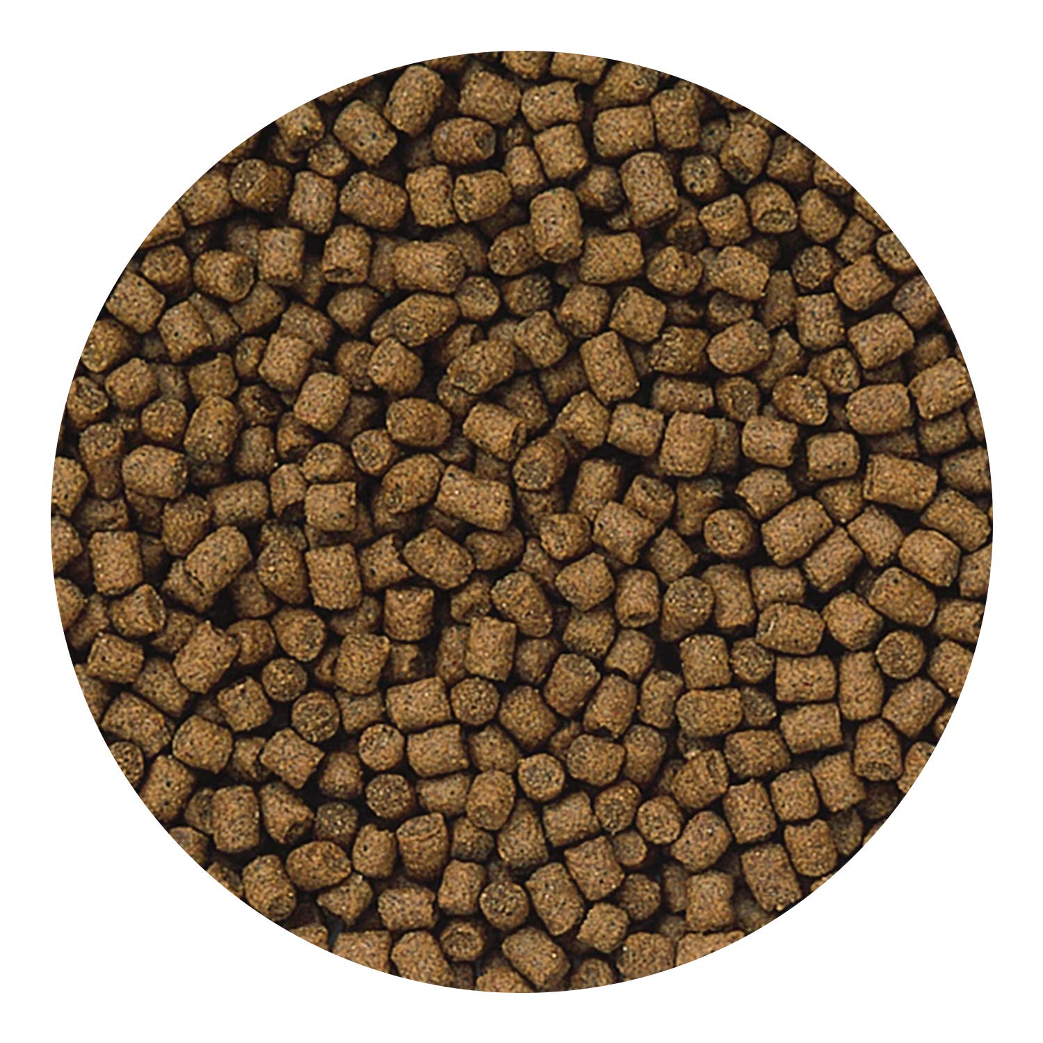 Hikari 12.3-Ounce Lionhead Sinking Pellets for Pets, Mini