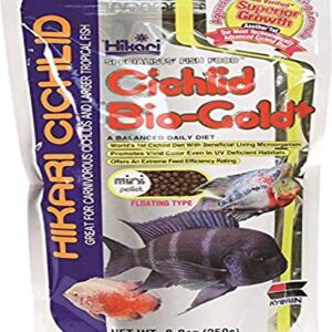 Hikari 8.8-Ounce Cichlid Bio-Gold and Floating Pellets for Pets, Mini