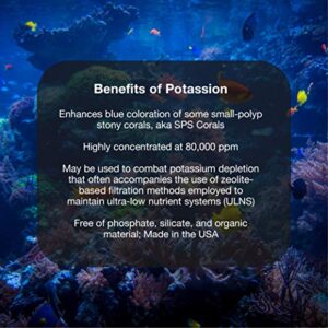 Brightwell Aquatics Potassion - Liquid Potassium Supplement for Marine Reef Fish Aquariums 500-ml