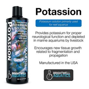 Brightwell Aquatics Potassion - Liquid Potassium Supplement for Marine Reef Fish Aquariums 500-ml