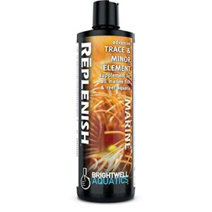 brightwell aquatics replenish - advanced trace and minor element supplement for marine fish and reef aquarium,250-ml