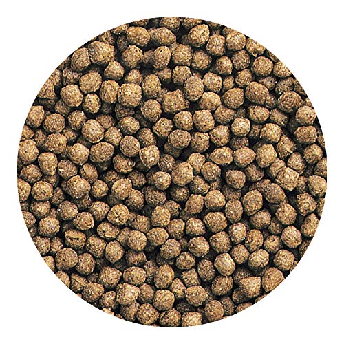 Hikari 10.5-Ounce Oranda Gold Floating Pellets for Pets, Mini