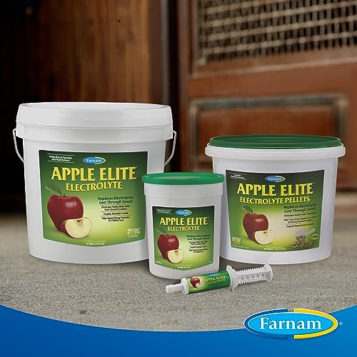 Farnam Apple Elite Horse Electrolyte Powder, Replaces minerals lost in sweat during exercise, extreme weather & stressful conditions, 5 lb., 40 day supply