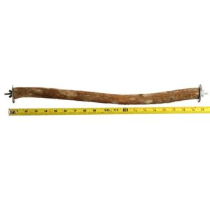 polly's full length hardwood bird perch, 20-inch