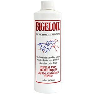 bigeloil (16 oz)