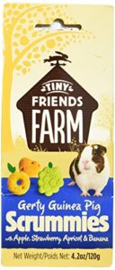 supreme gerty scrummies apple strawberry healthy baked bites for guinea pig 4.2z