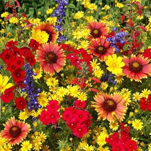 outsidepride texas/oklahoma wildflower seed mix - 1 lb