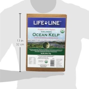 Life Line Pet Nutrition Organic Ocean Kelp Supplement for Skin & Coat, Digestion in Dogs & Cats, 20lb (20220)