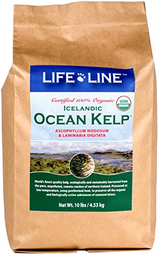 Life Line Pet Nutrition Organic Ocean Kelp Supplement for Skin & Coat, Digestion in Dogs & Cats,10lb, 20210