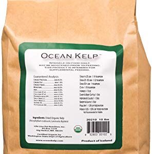 Life Line Pet Nutrition Organic Ocean Kelp Supplement for Skin & Coat, Digestion in Dogs & Cats,10lb, 20210