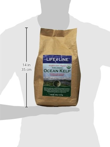 Life Line Pet Nutrition Organic Ocean Kelp Supplement for Skin & Coat, Digestion in Dogs & Cats,10lb, 20210