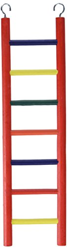 Prevue Pet Products BPV01136 Carpenter Creations Hardwood Bird Ladder with 7 Rungs, 15-Inch, Colors Vary