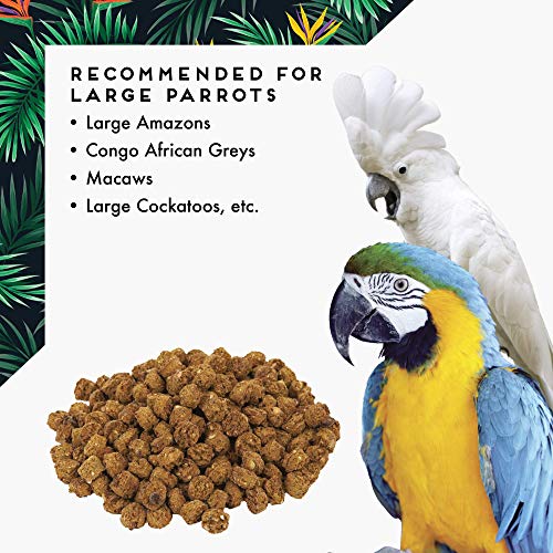 Oven Fresh Bites Freshly Baked Pet Bird Food, For Amazons, Cockatoos and Macaws, 42-Ounce Resealable Package