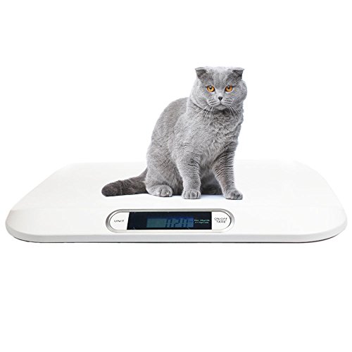 Digital Portable Pet Dog Cat Scale 44 lb x 0.22 lb by IBE SUPPLY (One Pack)