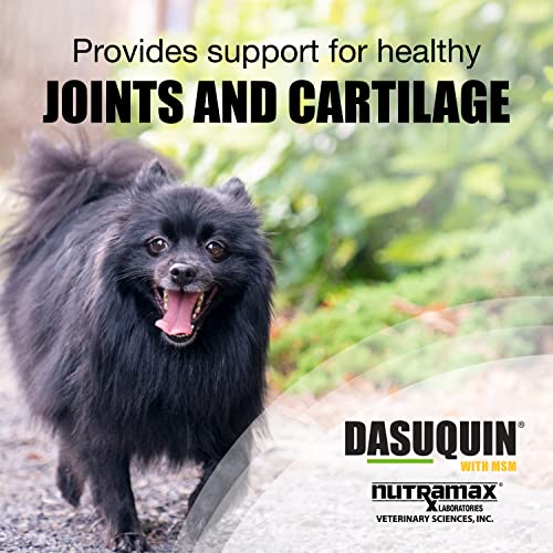 Nutramax Dasuquin with MSM Joint Health Supplement for Small to Medium Dogs - With Glucosamine, MSM, Chondroitin, ASU, Boswellia Serrata Extract, and Green Tea Extract, 84 Soft Chews