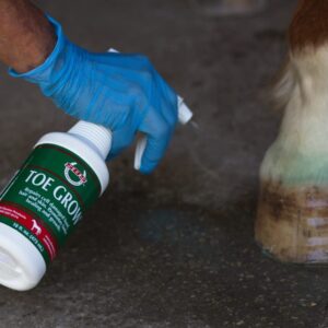 SBS EQUINE Item 416 Toe Grow Hoof Repair Spray, One Size