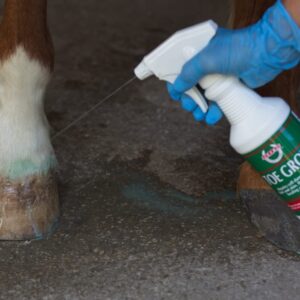 SBS EQUINE Item 416 Toe Grow Hoof Repair Spray, One Size