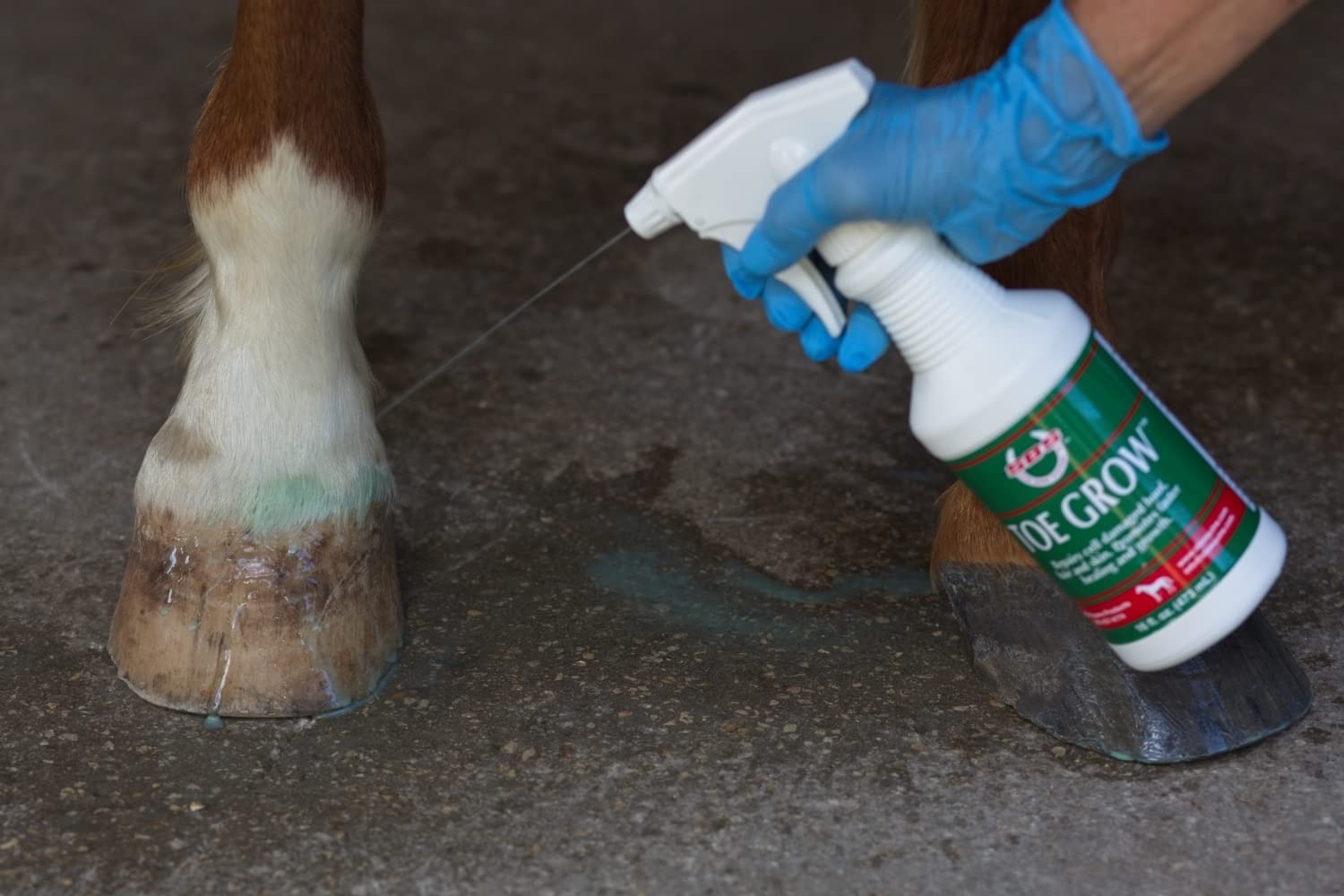 SBS EQUINE Item 416 Toe Grow Hoof Repair Spray, One Size