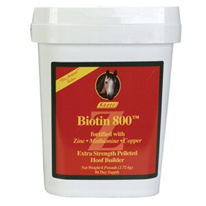 biotin 800 z - 6lbs