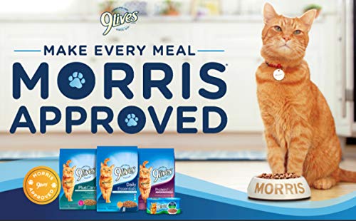 9Lives Hearty Cuts With Real Chicken & Fish In Gravy Wet Cat Food, 5.5 Ounce Cans (Pack of 24)