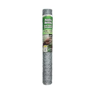 Galvanized Poultry Netting, 24-In. x 50-Ft.