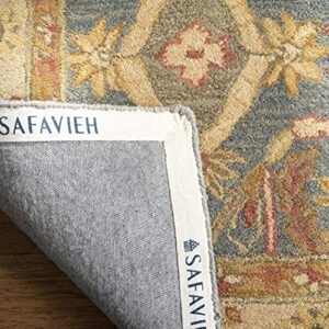 SAFAVIEH Anatolia Collection Accent Rug - 2' x 3', Light Blue & Ivory, Handmade Traditional Oriental Wool, Ideal for High Traffic Areas in Entryway, Living Room, Bedroom (AN544D)