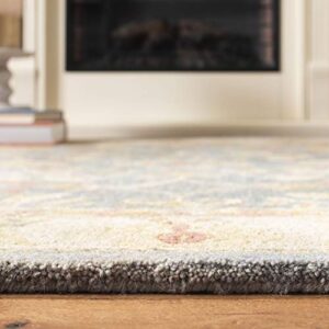 SAFAVIEH Anatolia Collection Accent Rug - 2' x 3', Light Blue & Ivory, Handmade Traditional Oriental Wool, Ideal for High Traffic Areas in Entryway, Living Room, Bedroom (AN544D)