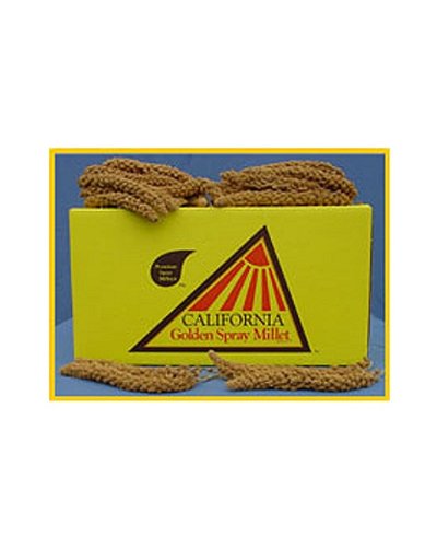 California Golden Spray Millet - Premium 25 Lbs