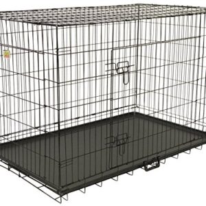 Go Pet Club 42-Inch Two Door Folding Metal Cage with Divider