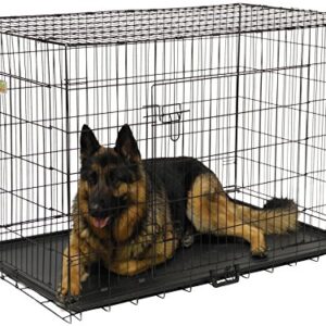 Go Pet Club 42-Inch Two Door Folding Metal Cage with Divider