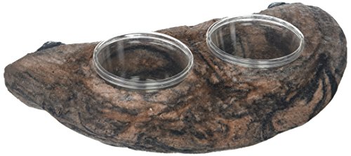 MagNaturals 37109 Gecko Earth Ledge