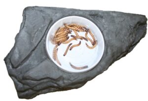 magnaturals large worm feeder ledge granite - magnetic decor