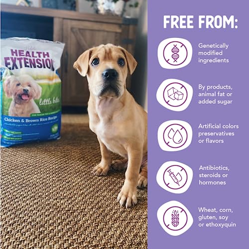 Health Extension Little Bites Weight Control Dry Dog Food, Grain-Free, Natural Food for Overweight Adult Dogs with Added Vitamins & Mineral, Include Lite Chicken & Brown Rice Recipe (15 lbs)