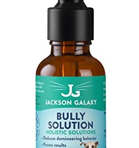 Jackson Galaxy: Bully Solution (2 oz.) - Pet Solution - Promotes Relaxation and Calmness - Can Support Bullying and Dominance - All-Natural Formula - Reiki Energy