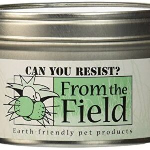 From The Field 1-Ounce Can You Resist Catnip Kitty Safe Stalkless Tin Can