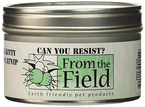 From The Field 1-Ounce Can You Resist Catnip Kitty Safe Stalkless Tin Can