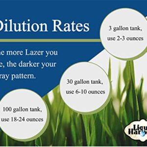 Liquid Harvest Lazer Blue Concentrated Spray Pattern Indicator - 1 Gallon (128 Ounces) - Perfect Weed Spray Dye, Herbicide Dye, Fertilizer Marking Dye, Turf Mark and Blue Herbicide Marker