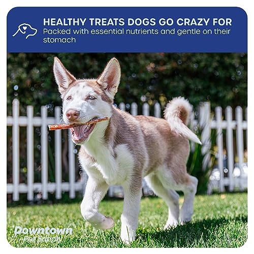 Downtown Pet Supply 6 inch 10 Pack of Bully Sticks for Medium Dogs & Large Dogs, Single Ingredient, Rawhide-Free Long Lasting Bully Sticks for Medium Dogs- No Hide Bullsticks for Bully Stick Holder