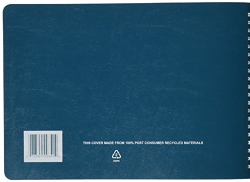 Dome Publishing Co Inc Home Budget Book, 64 Pages, 10-1/2 x 7-1/2 Inches, Teal (DOM840)